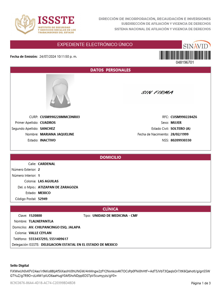 Expediente Electrónico Único | PDF | Bases de datos | Trabajo Social