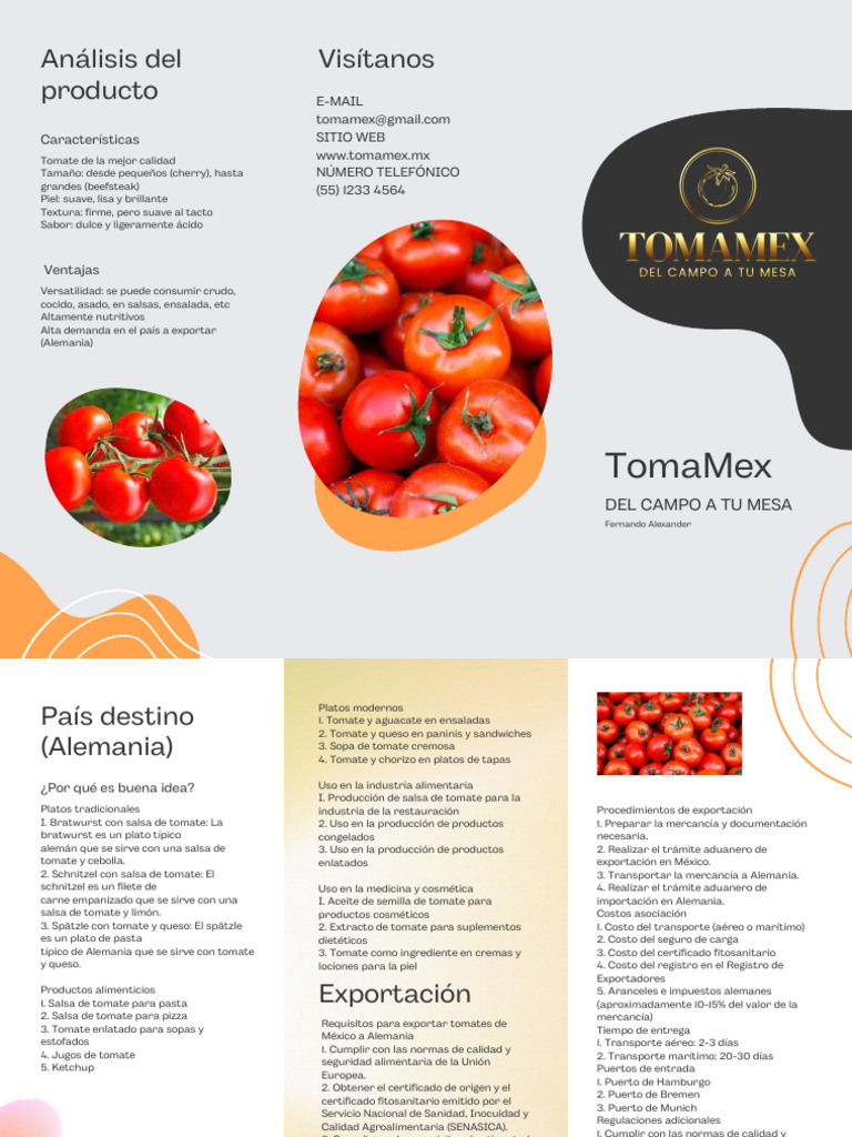 Tríptico TomaMex PDF | PDF | filete | Salsa