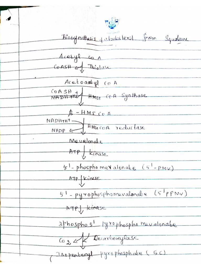 Bio Syn of Choles From Squlene - Biomolecules - Subi Ma'am - (14 - 08 ...