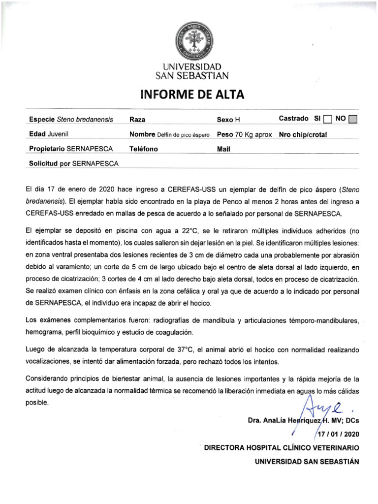 Informe de Alta Delfín | PDF