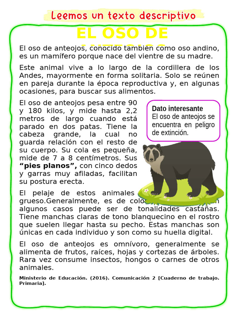 Ficha Leemos El Oso de Anteojos Maestra Janet | PDF | Osos