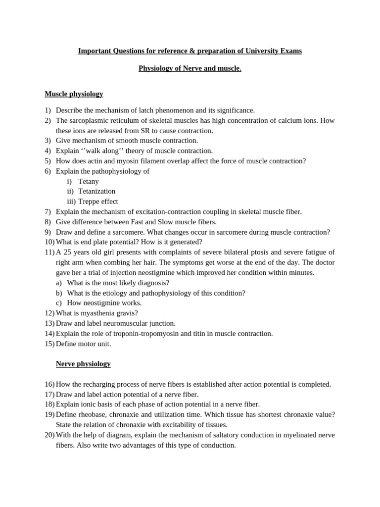 Key Questions on Muscle and Nerve Physiology | PDF | Muscle Contraction ...