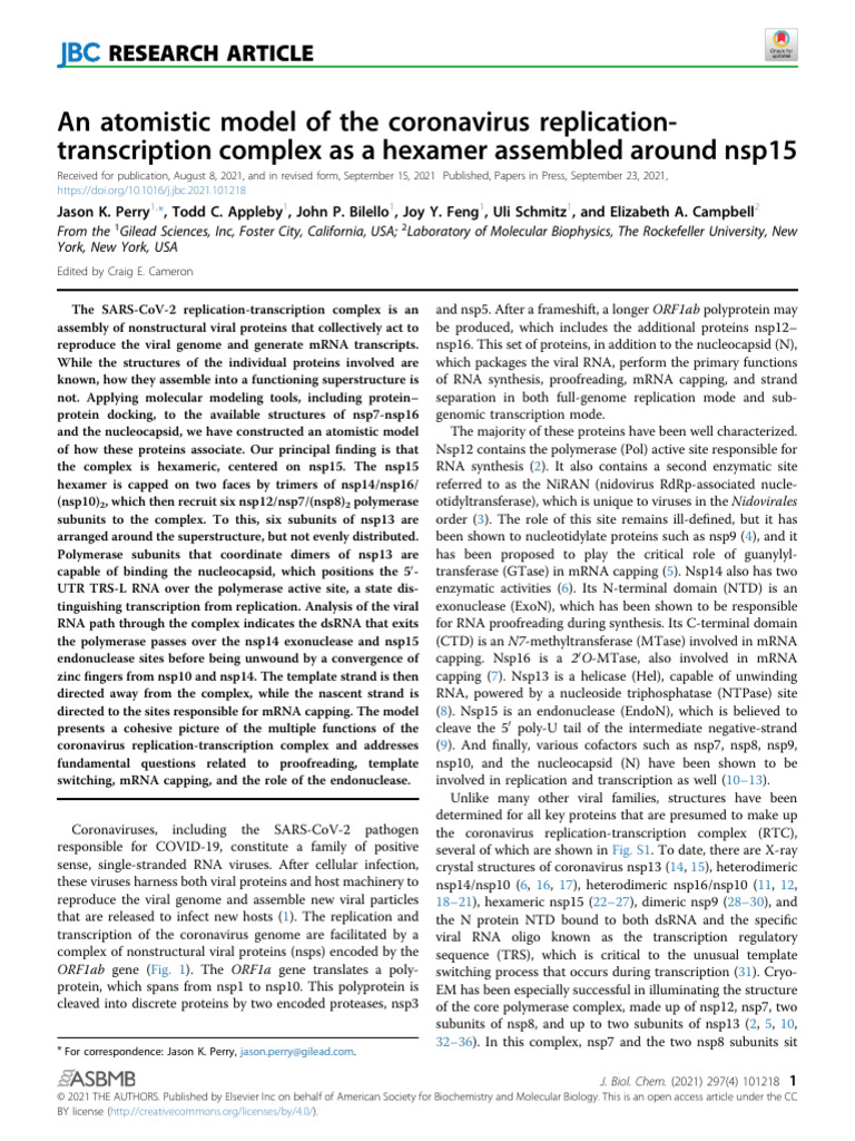 RDRP With Nsp15 Hexamer | PDF | Rna | Messenger Rna