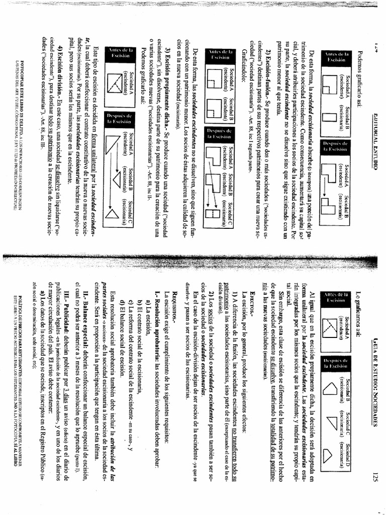 Ejemplo Escisión | PDF