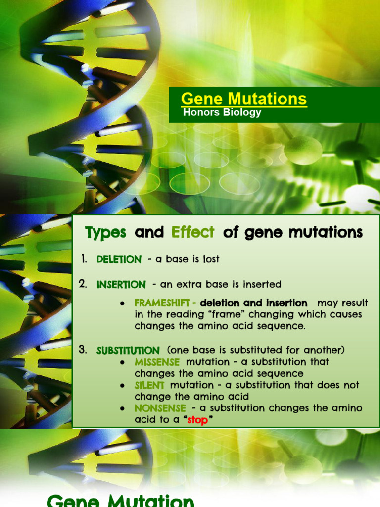 William Killian - Day 6 Gene Mutations Activity 2024-25 - 15112968 | PDF | Point Mutation ...