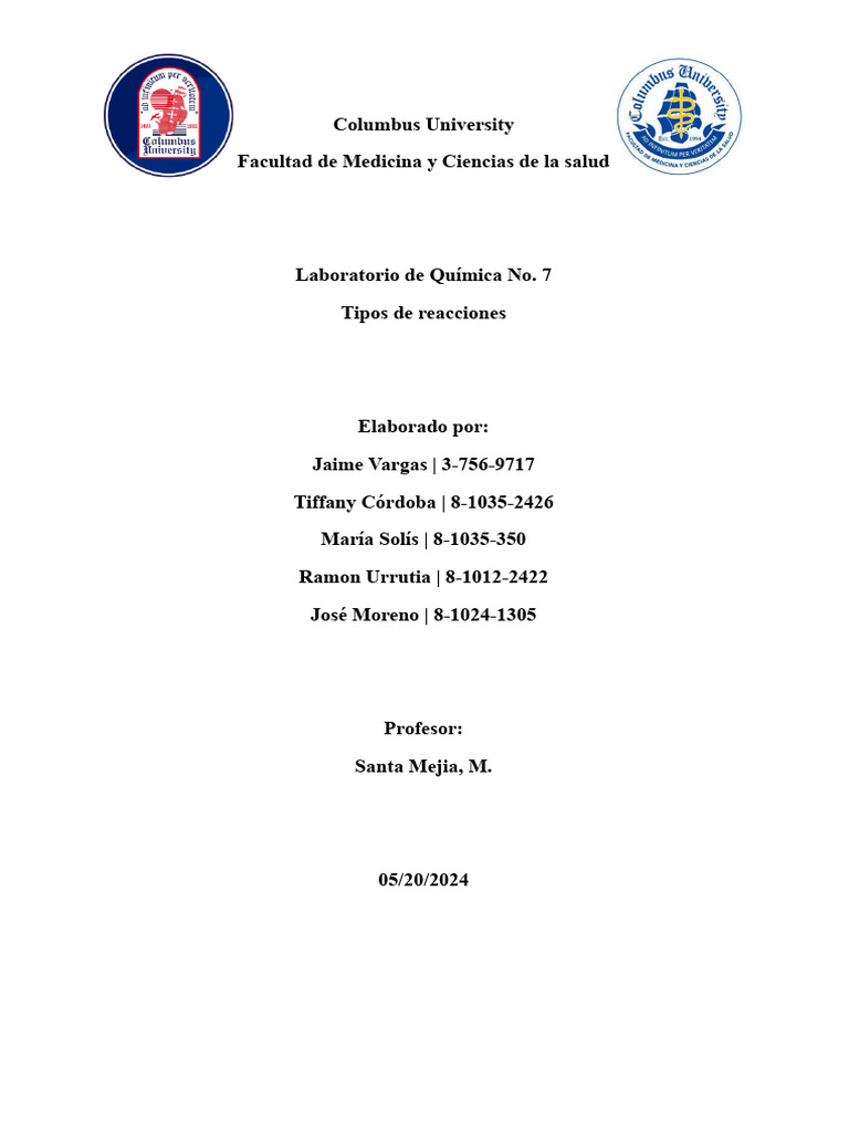 Informe 7 Química | PDF | Redox | Solubilidad