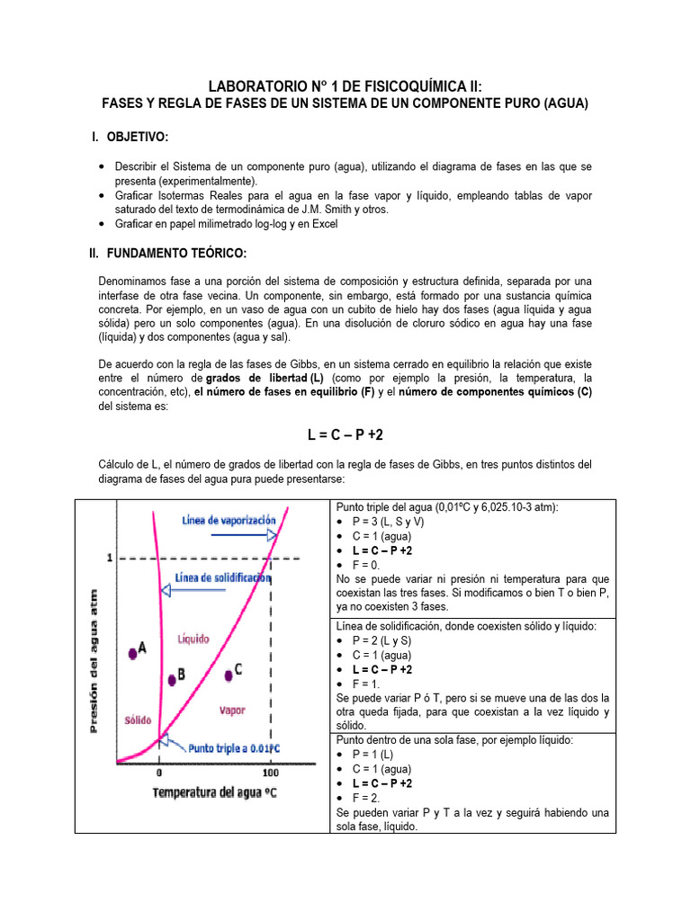 LABORATORIO N° 1 REGLA DE FASES Y SISTEMA DE UN COMPONENTE PURO | PDF | Fase (materia) | Agua