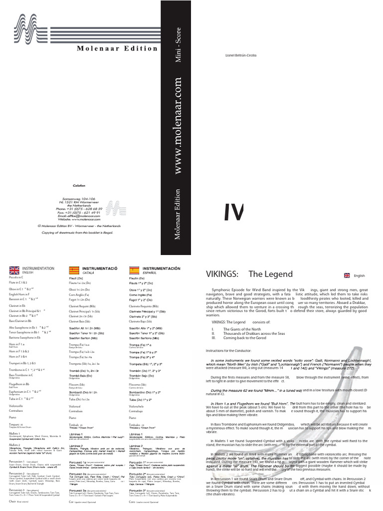 Vikings - Score | PDF | Aerophones | Music Technology