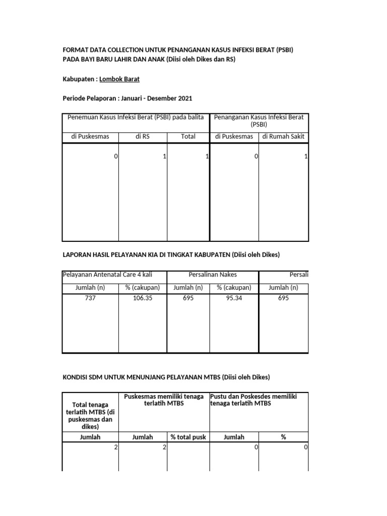 Form Data Collection PSBI Puskesmas Dan RS | PDF