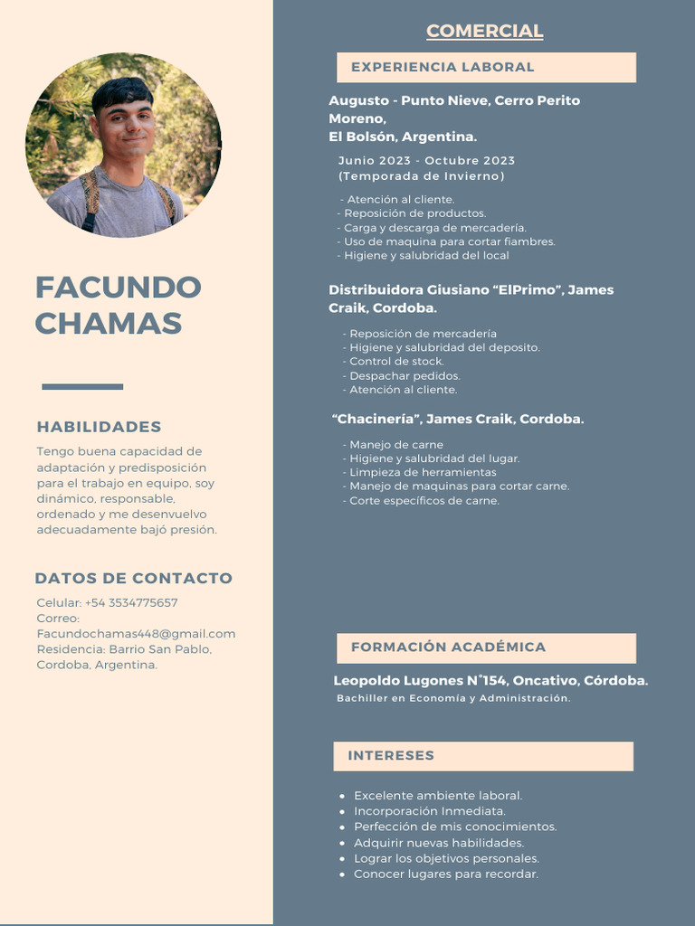 CV Comercial Facundo Chamas1 | PDF