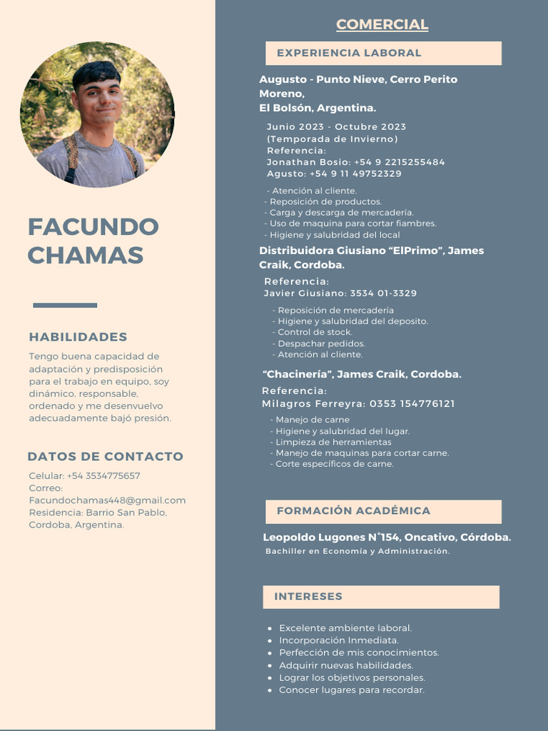 CV Comercial Facundo Chamas | PDF
