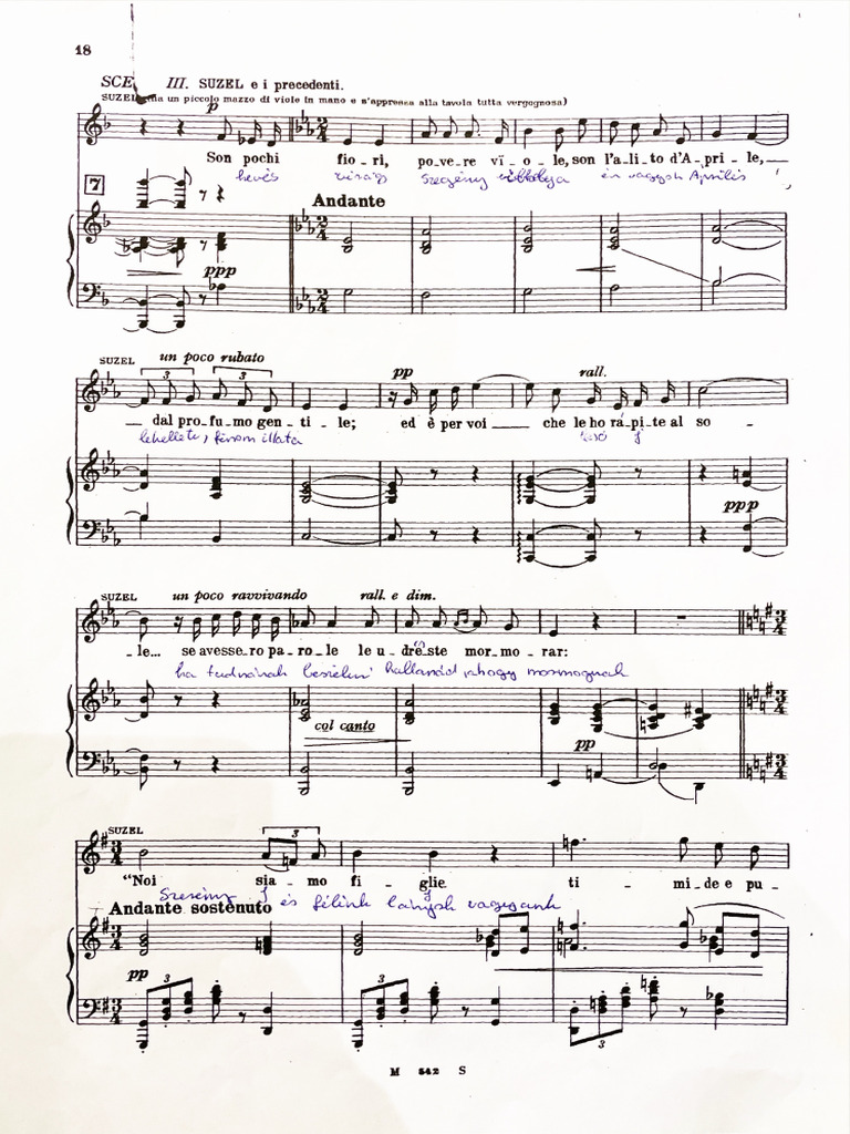 Suzel - Son Pochi Fiori | PDF