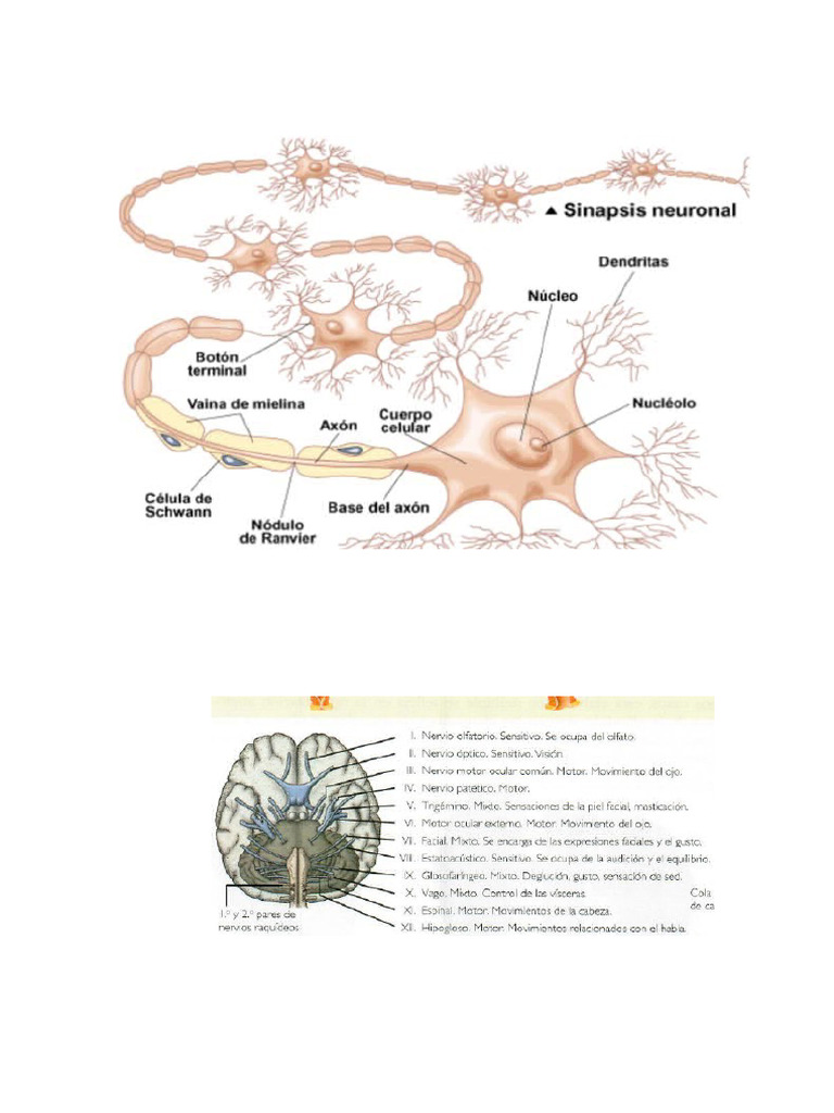 Cta | PDF