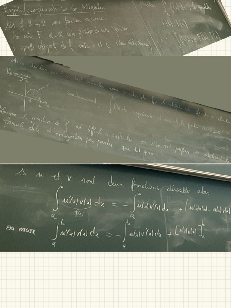 Integrale Copie | PDF