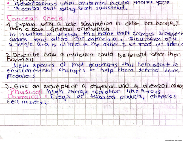 Concept Check | PDF