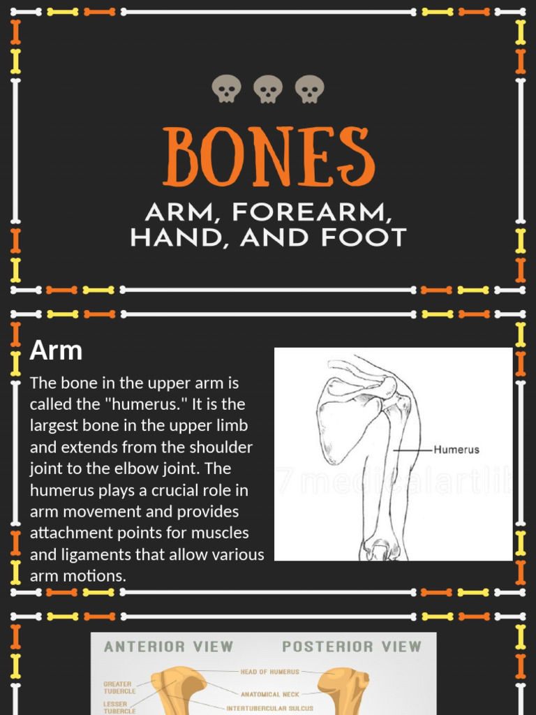 Bones | PDF