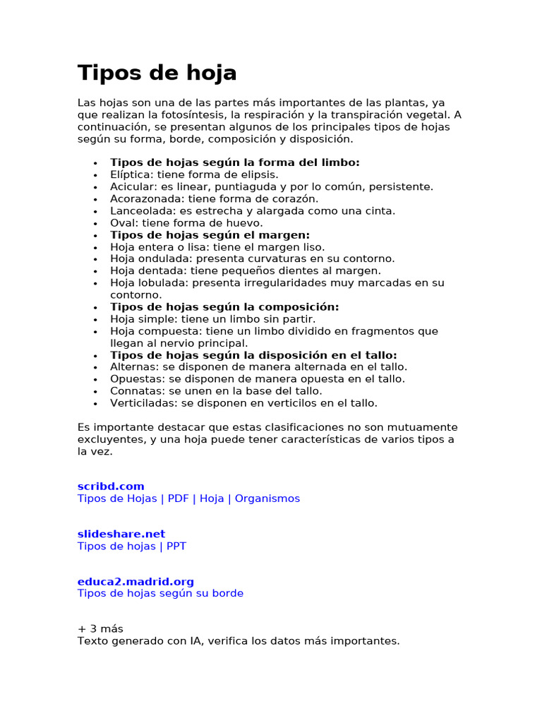 Tipos de Hoja | PDF
