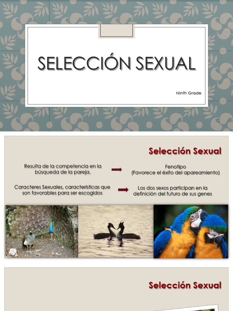 Selección Sexual | PDF