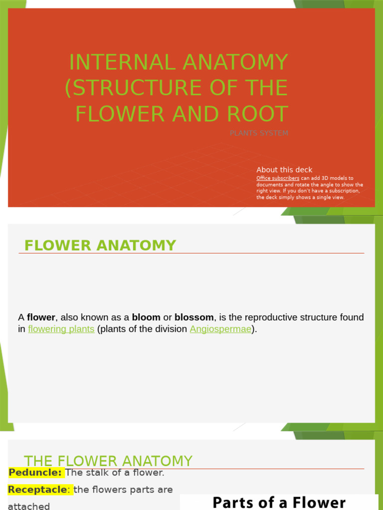 Internal Anatomy (Structure of Flower and Root | PDF