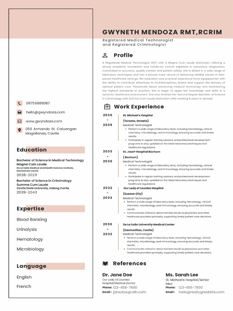 Simple Professional CV Resume | PDF