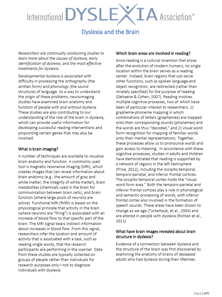 6.Dyslexia and the Brain | PDF | Dyslexia | Brain