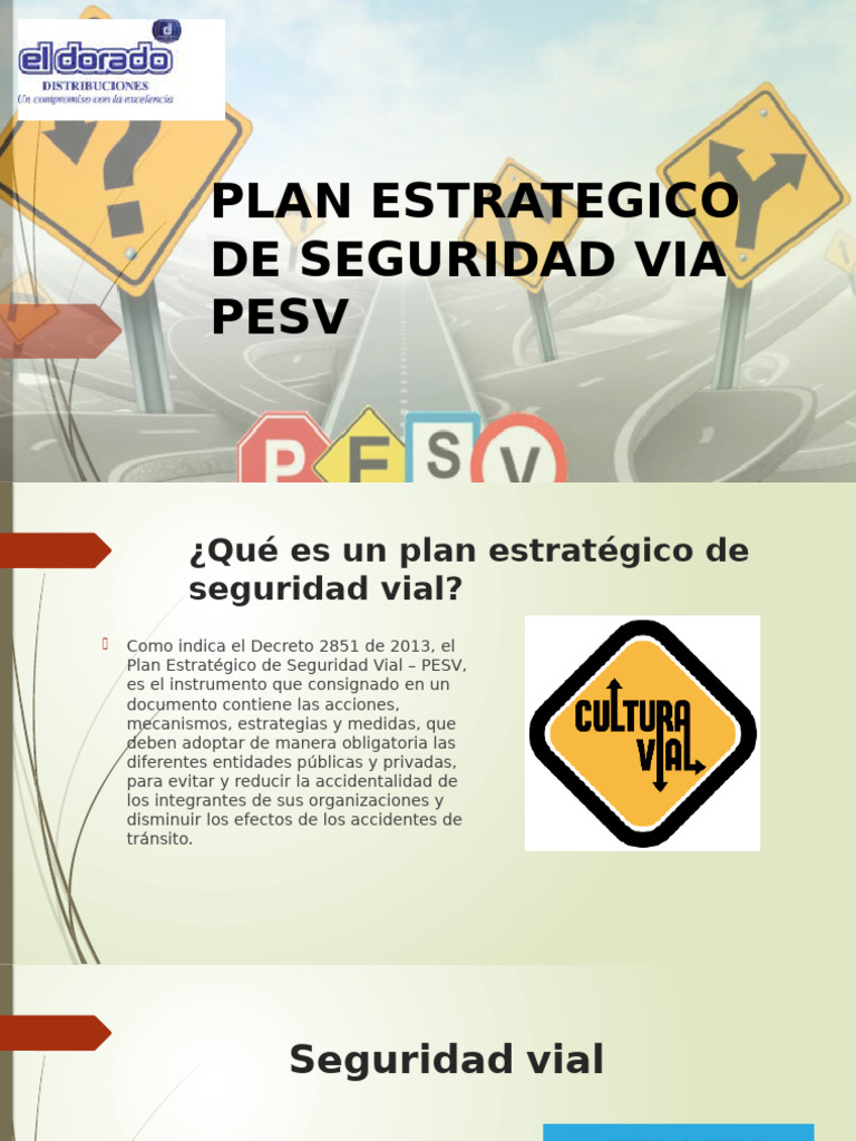 Capacitación Seguridad Vial | PDF | Seguridad vial | Percepción visual