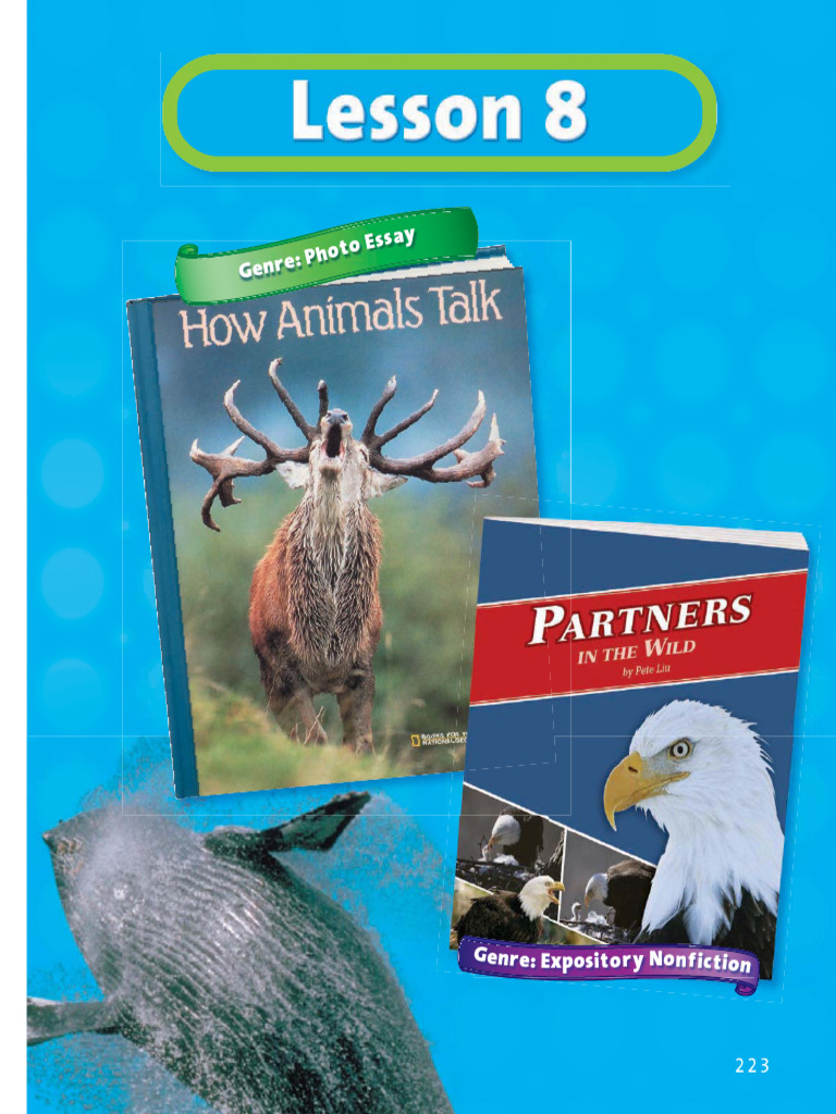 Lesson8 How Animals Talk (1) | PDF | Whales | Spider