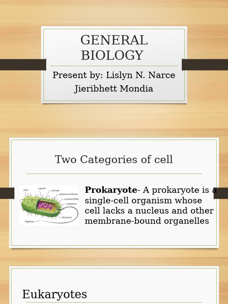 Presentation 9 | PDF