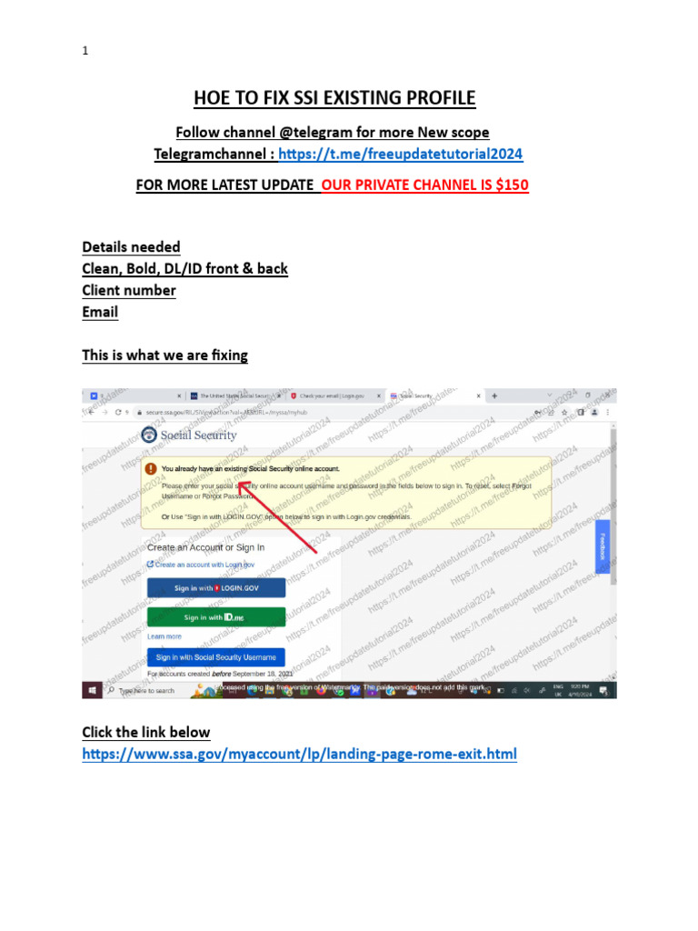 Ssi Existing Profile | PDF