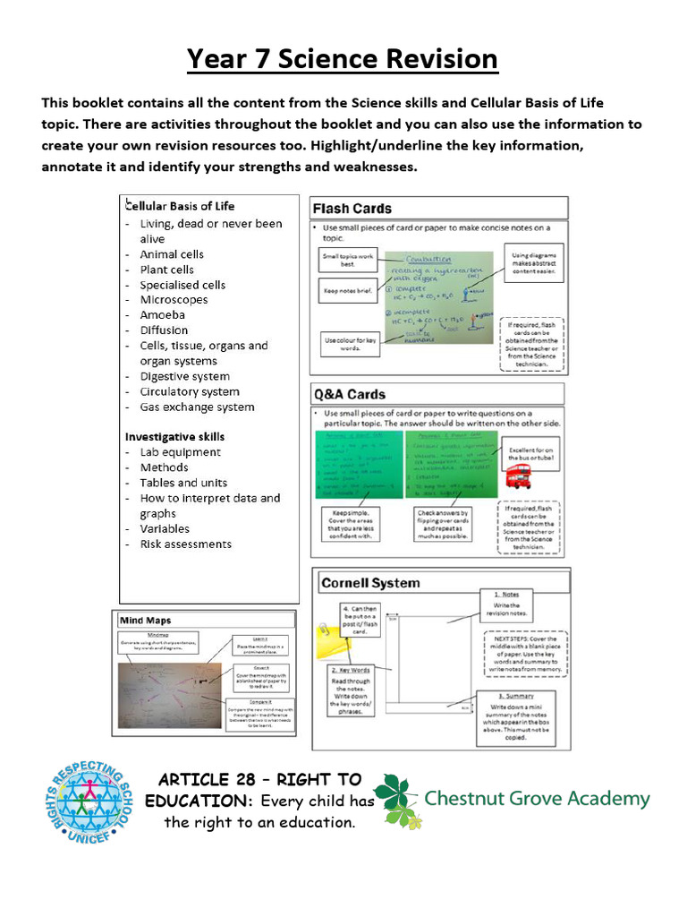 Year 7 Science Revision Booklet - Autumn | PDF | Cell (Biology ...