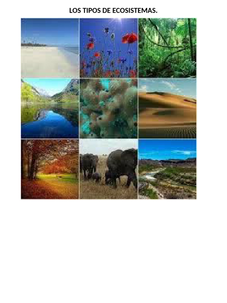 LOS TIPOS DE ECOSISTEMAS | PDF