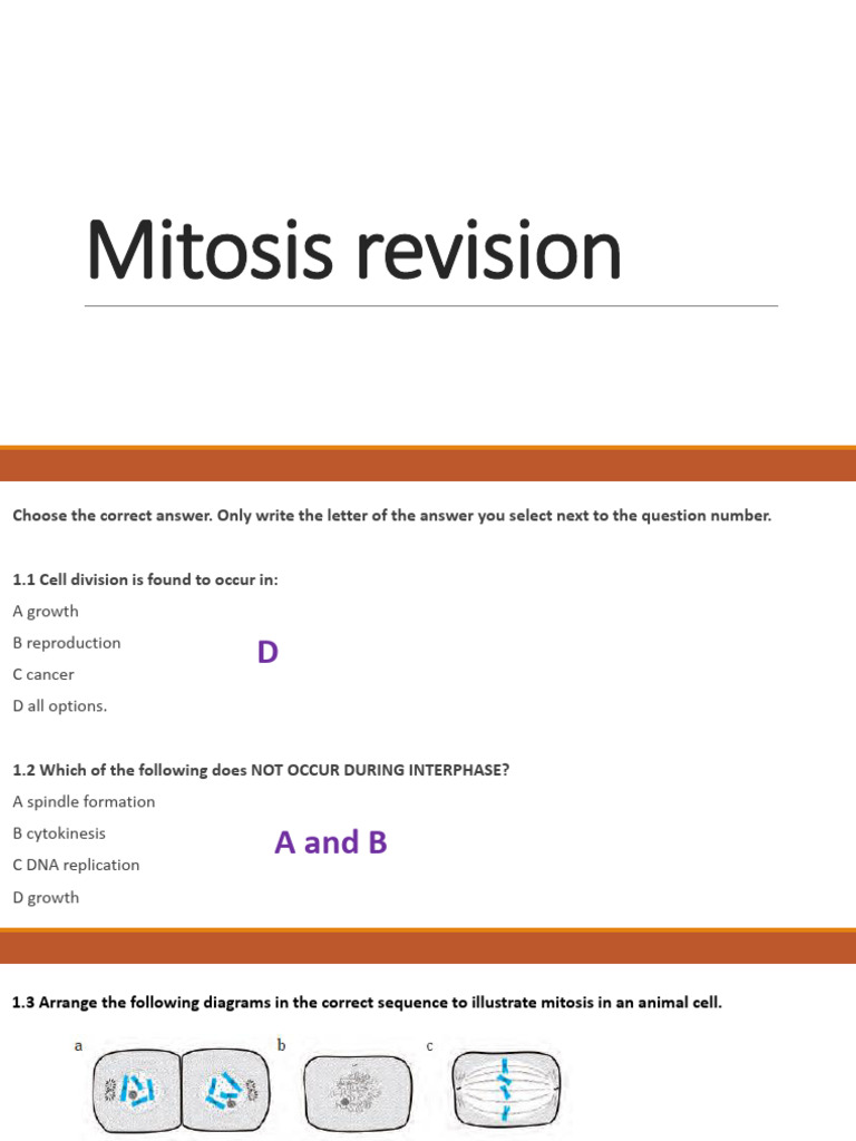Mitosis Revision 122908 | PDF