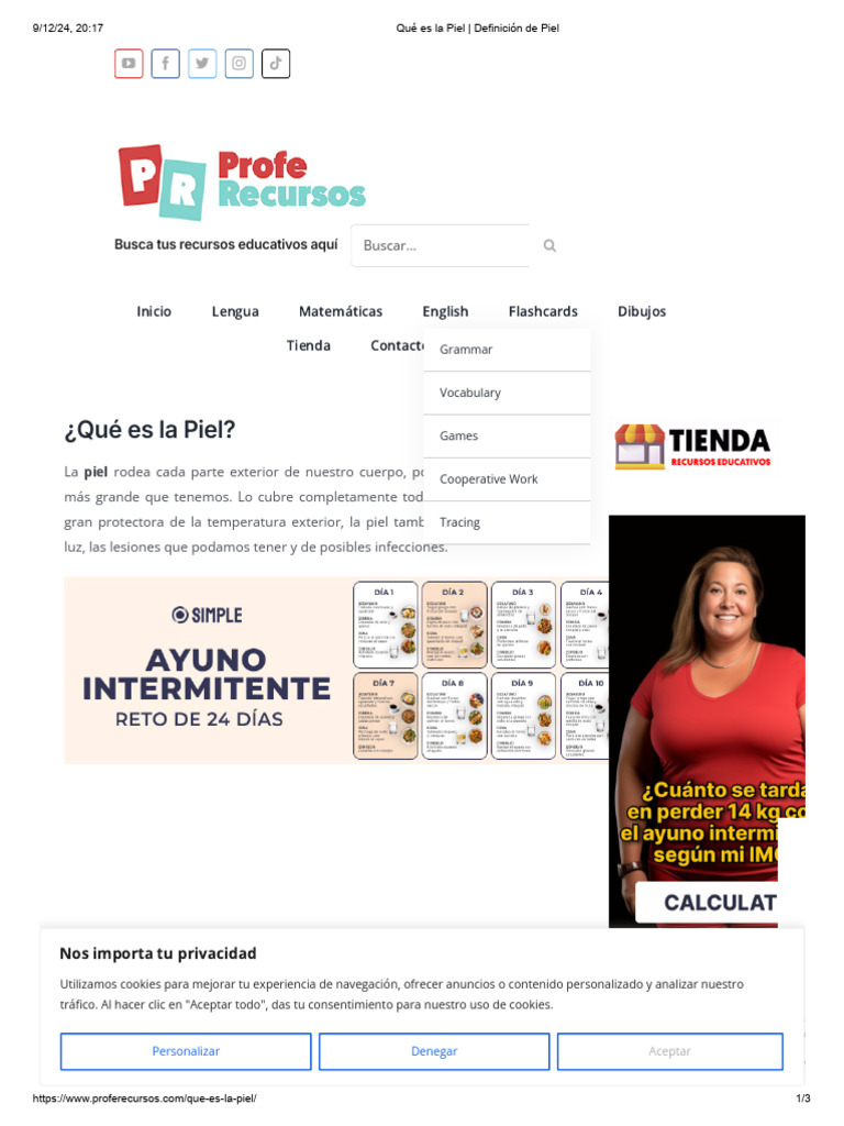 Qué es la Piel _ Definición de Piel | PDF | Piel | Cookie HTTP