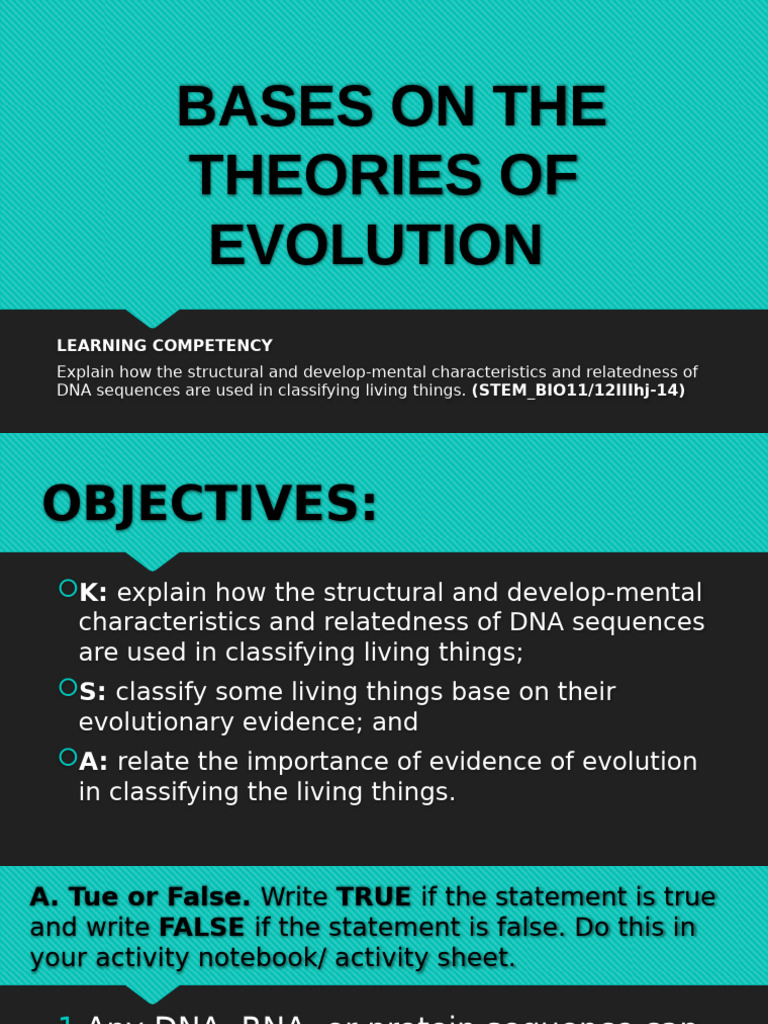 BASES ON THE THEORIES OF EVOLUTION | PDF | Phylogenetics | Phylogenetic ...
