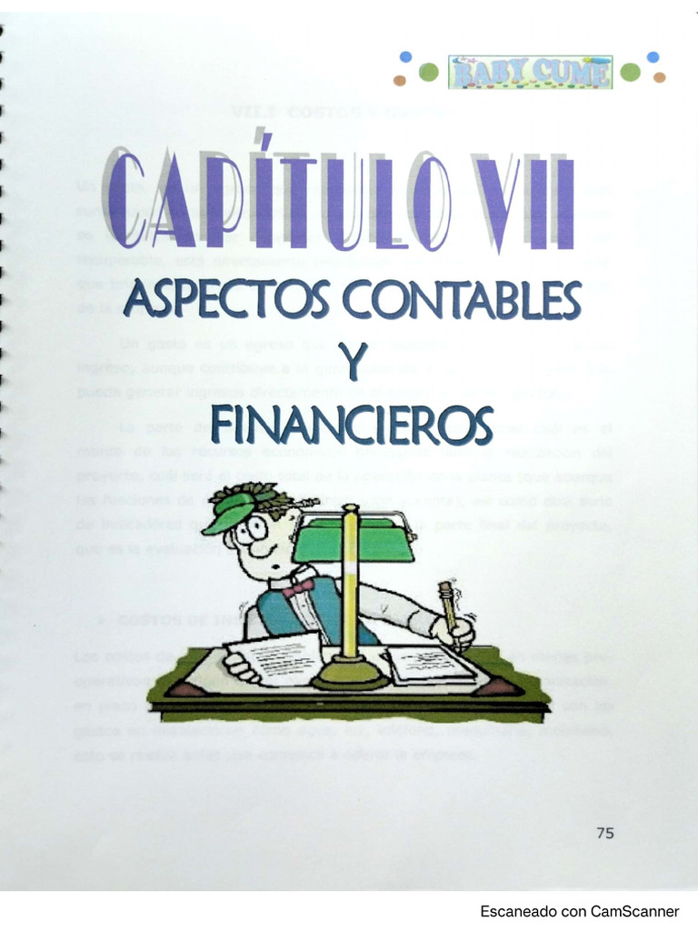 Aspectos Contables y Financieros | PDF