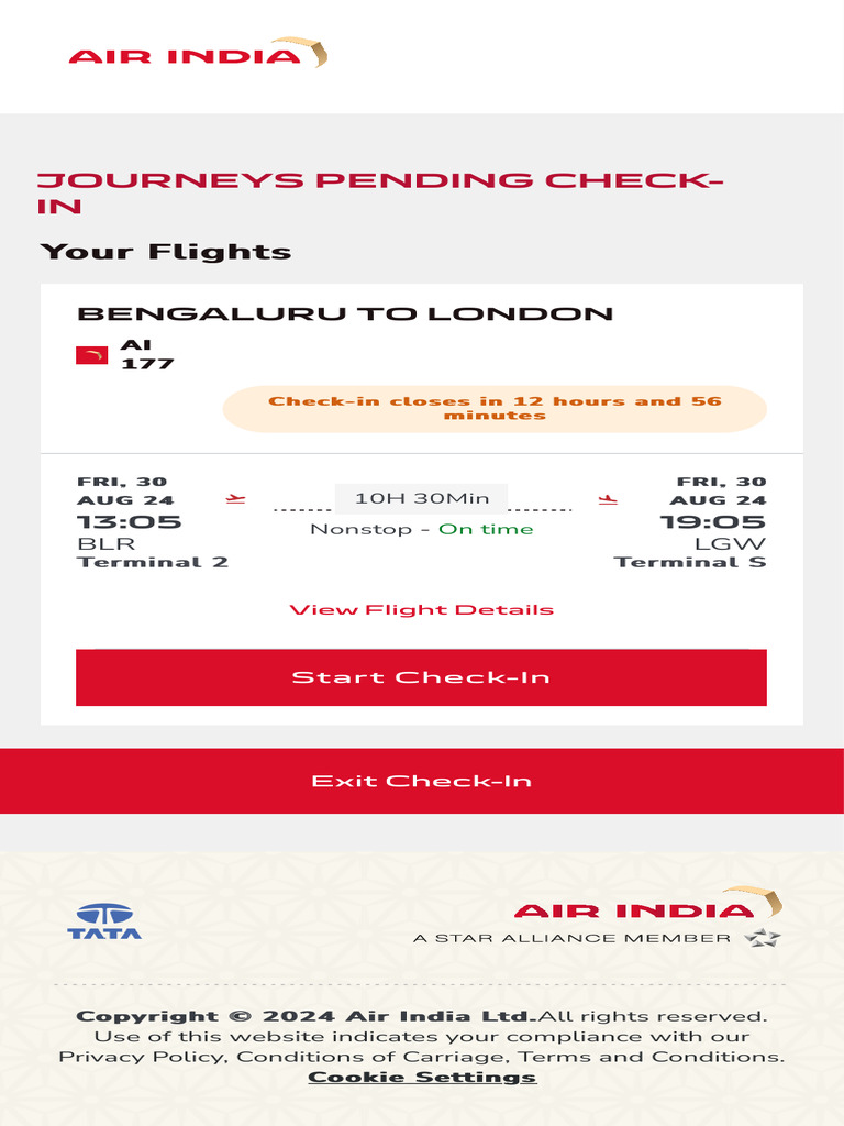 Self Service Check-In | PDF