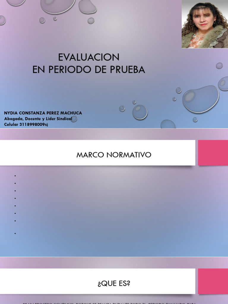 Evaluacion en Periodo de Prueba 2 | PDF | Evaluación | Maestros