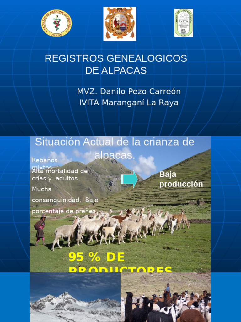 Registros Alpacas y Llamas Sdpc Usicayo | PDF