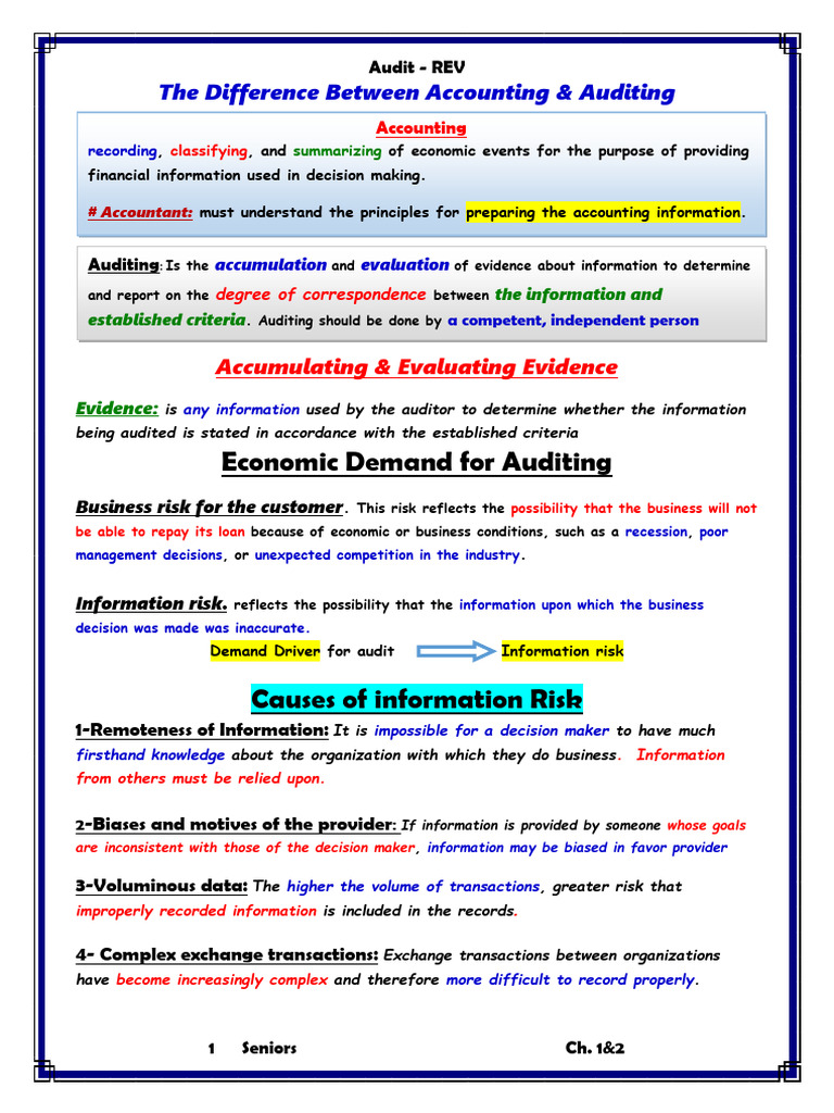 Audit REV | PDF | Auditor's Report | Audit