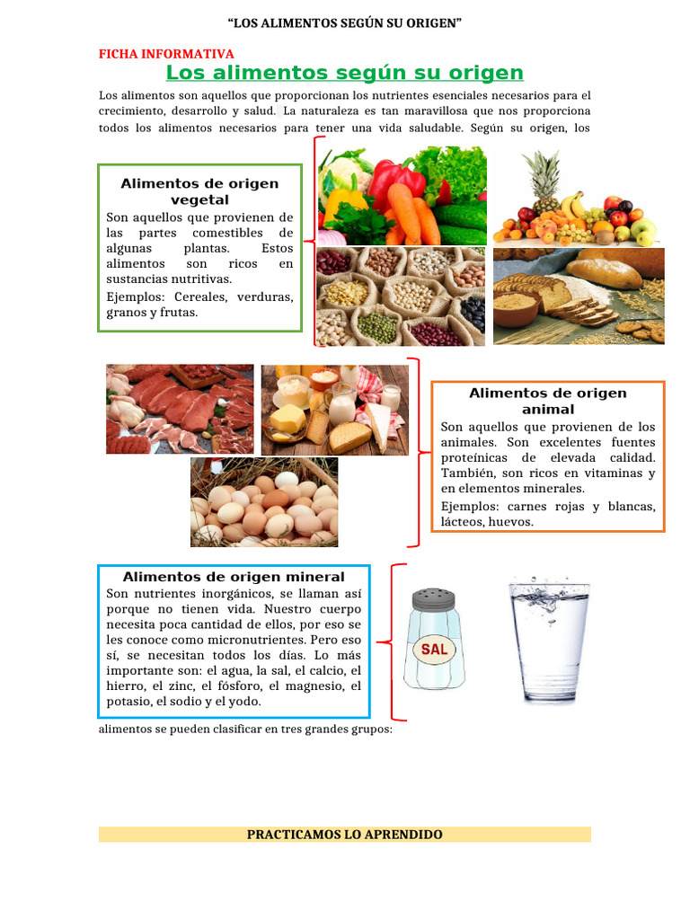 Clasificación de Alimentos por Origen | PDF | Alimentos | Nutrientes