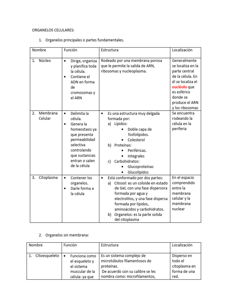 Organelos Celulares y sus Funciones | PDF | Citoplasma | Biología Celular)