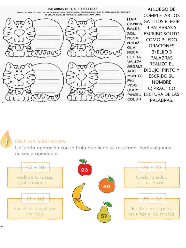 Actividades 1er Grado | PDF