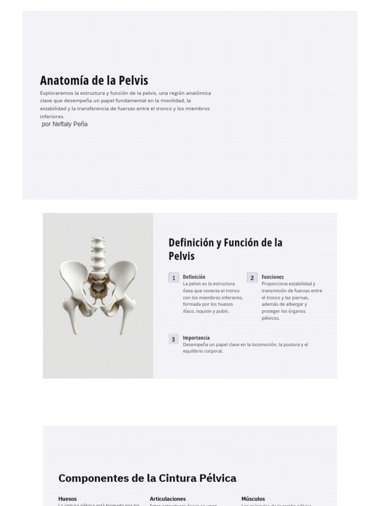 Anatomía y Función de la Pelvis | PDF | Pelvis | Articulación