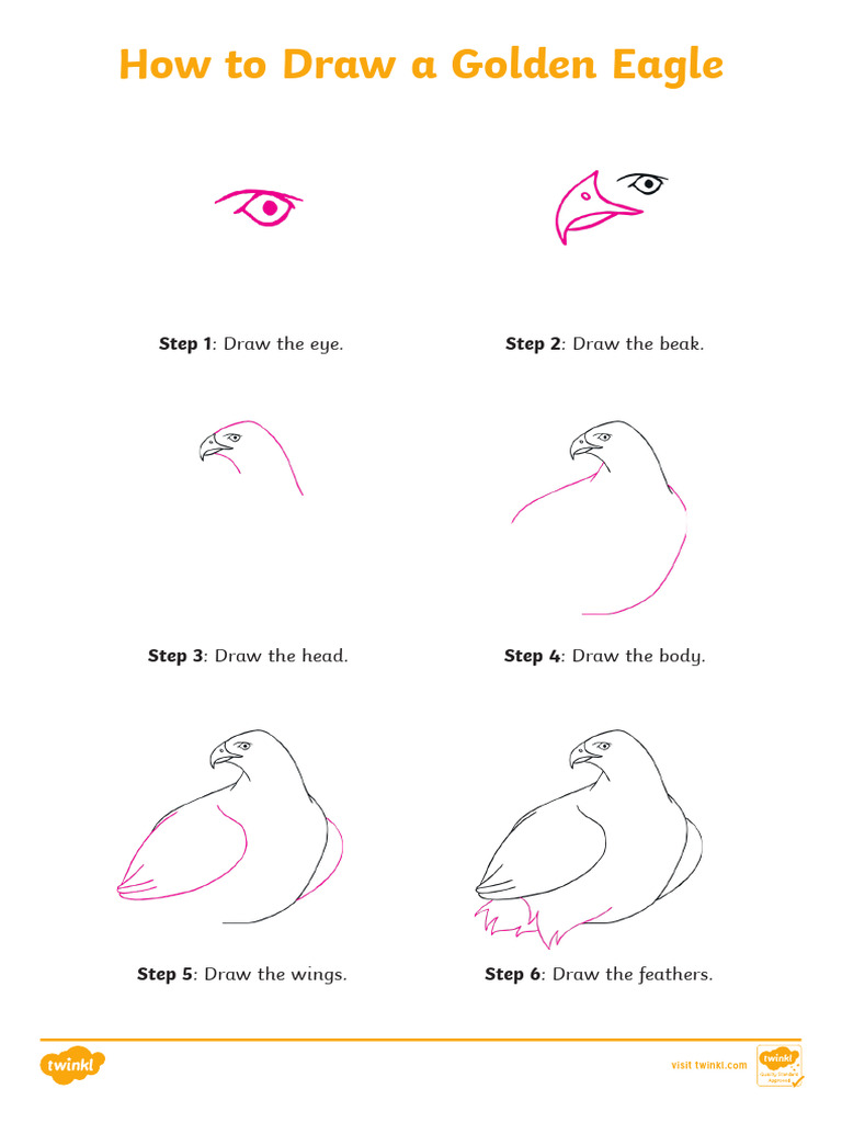 Easy Steps to Draw a Golden Eagle | PDF