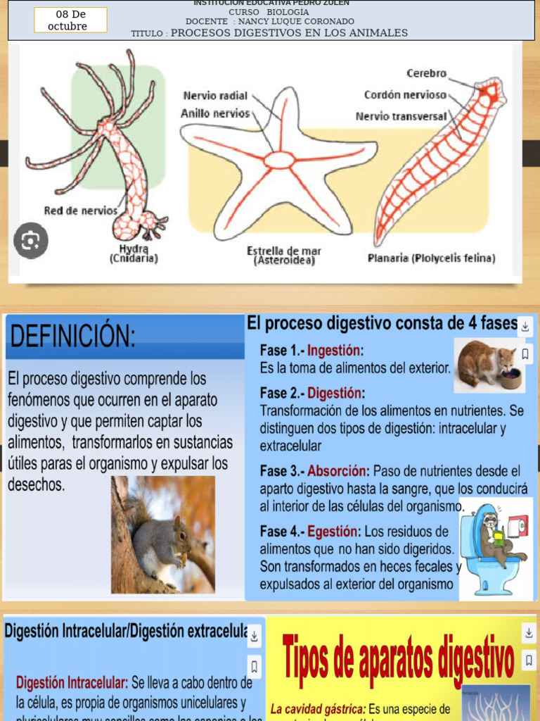 08 de Octubree | PDF
