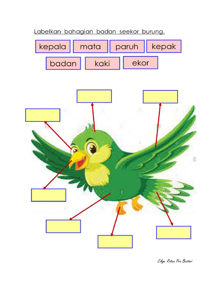 bagian burung | PDF