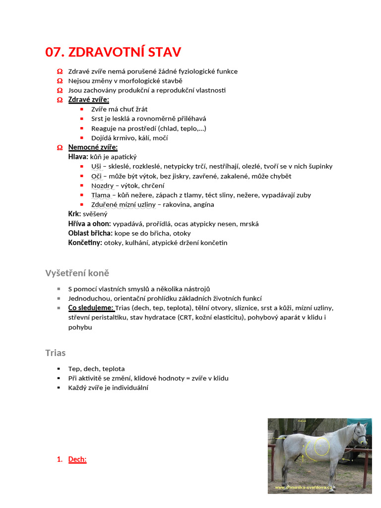 Zdravotni Stav | PDF