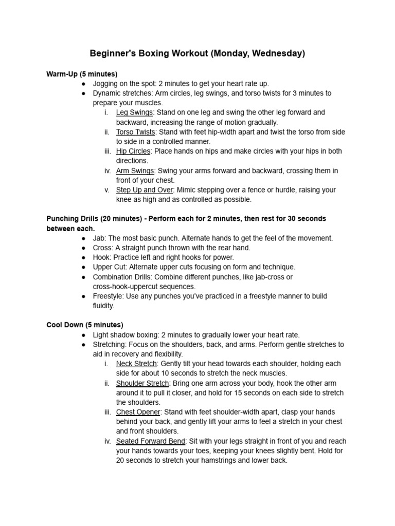 Beginner Boxing Workout Plan | PDF | Hip | Foot