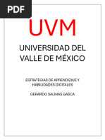 Portada Institucional UVM | PDF