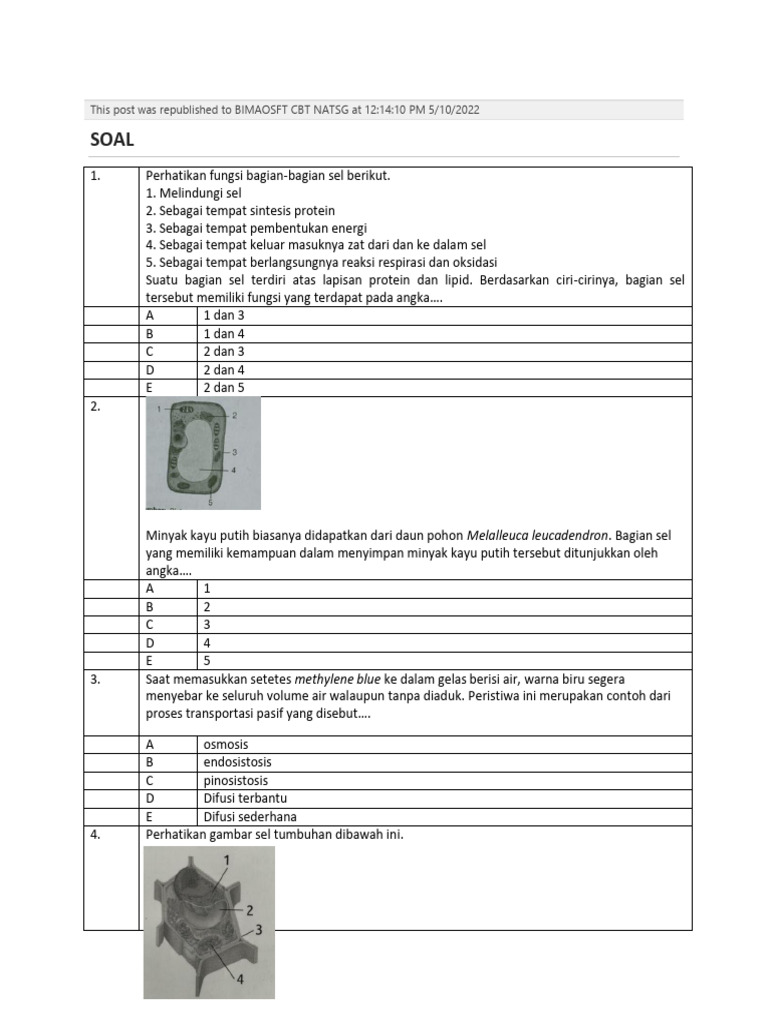 Soal STS Bio XI | PDF